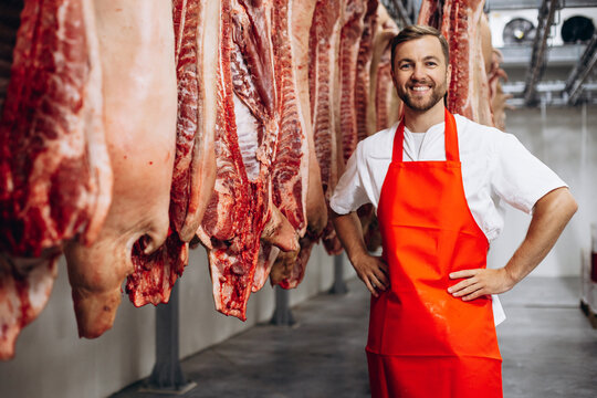 รูปภาพMeatman – เลือกดูภาพถ่ายสต็อก เวกเตอร์ และวิดีโอ305,174 | Adobe Stock