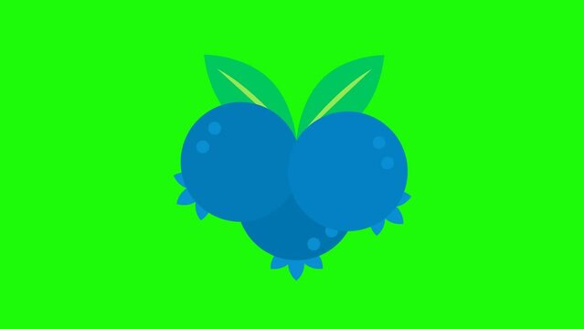 "Blueberry Icon" Images – Browse 100 Stock Photos, Vectors, and Video ...