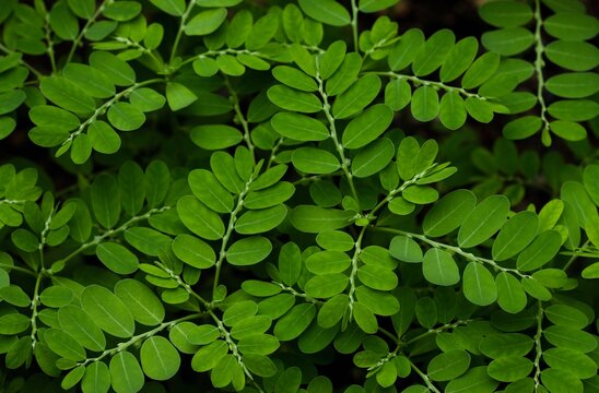 รูปภาพStonebreaker – เลือกดูภาพถ่ายสต็อก เวกเตอร์ และวิดีโอ204 | Adobe ...