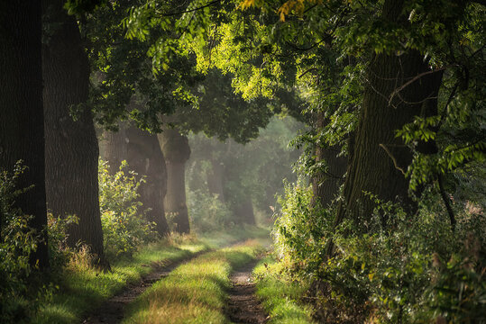 Trichter Bilder – Durchsuchen 75,099 Archivfotos, Vektorgrafiken und ...