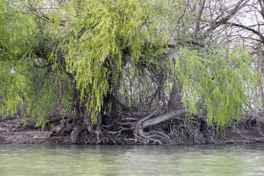 "Water Edge"-Bilder: Stock-Fotos & -Videos. | Adobe Stock