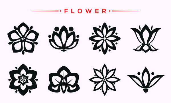 Flower Vector Design