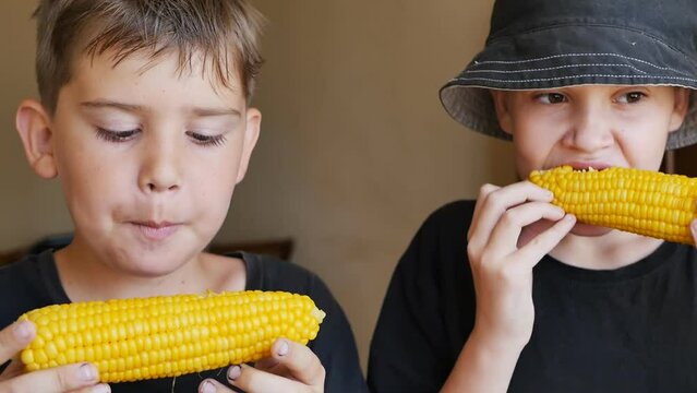 "Boiled Corn" Images – Browse 1,304 Stock Photos, Vectors, and Video ...