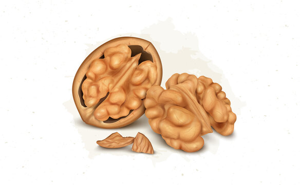 Nuss Bilder – Durchsuchen 149,859 Archivfotos, Vektorgrafiken und ...