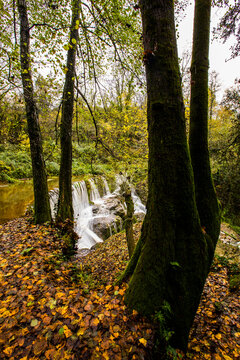 Batlle Images – Browse 60 Stock Photos, Vectors, and Video | Adobe Stock