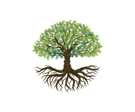 "Circle Tree" Immagini - Sfoglia 102 foto, vettoriali e video Stock ...