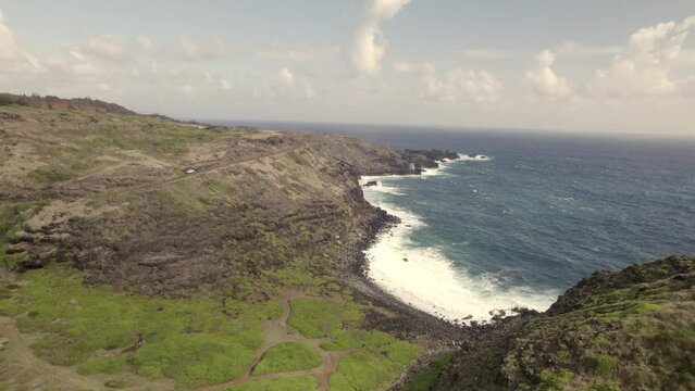 Lipoa Images – Browse 359 Stock Photos, Vectors, and Video | Adobe Stock