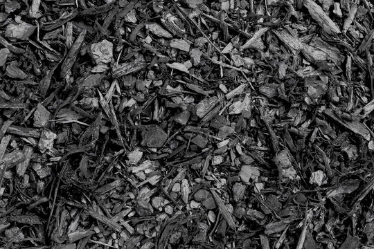Black Mulch Images – Browse 3,484 Stock Photos, Vectors, and Video ...