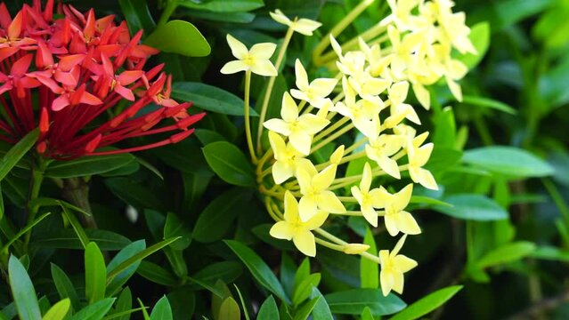 รูปภาพViruchi – เลือกดูภาพถ่ายสต็อก เวกเตอร์ และวิดีโอ191 | Adobe Stock