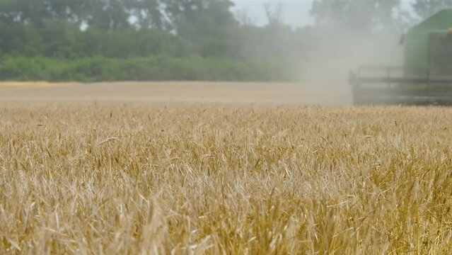 Winnowing Images – Browse 43,710 Stock Photos, Vectors, and Video ...