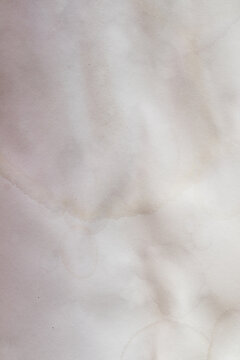 Wit Images – Browse 1,013,204 Stock Photos, Vectors, and Video | Adobe ...