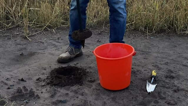 "Garden Trowel" Images – Parcourir 3,113 le catalogue de photos ...