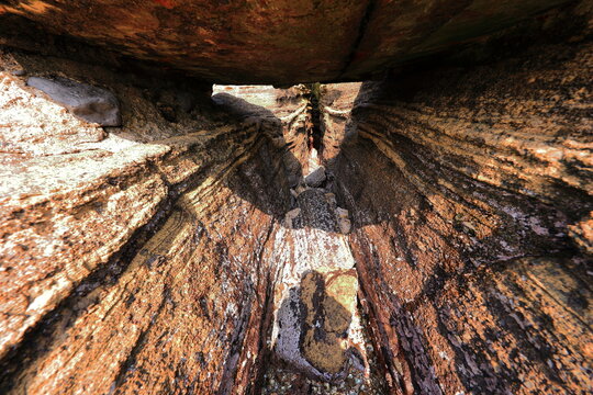 Formidae Bilder – Durchsuchen 358 Archivfotos, Vektorgrafiken und ...