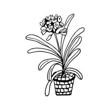 Valotta Images – Browse 5 Stock Photos, Vectors, and Video | Adobe Stock