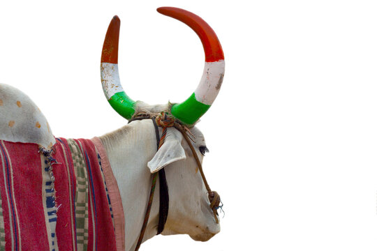 Barbage Images – Browse 13 Stock Photos, Vectors, and Video | Adobe Stock