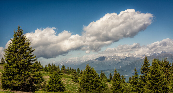 Roen Images – Browse 37 Stock Photos, Vectors, and Video | Adobe Stock