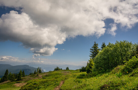 Roen Images – Browse 37 Stock Photos, Vectors, and Video | Adobe Stock