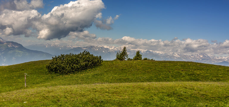 Roen Images – Browse 37 Stock Photos, Vectors, and Video | Adobe Stock