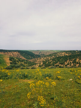 "Green Land" Images – Browse 94,094 Stock Photos, Vectors, and Video ...