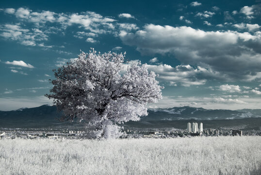 Weißlacker Bilder – Durchsuchen 2,913,652 Archivfotos, Vektorgrafiken ...