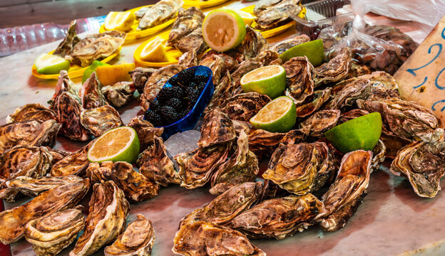 รูปภาพOusters – เลือกดูภาพถ่ายสต็อก เวกเตอร์ และวิดีโอ519 | Adobe Stock