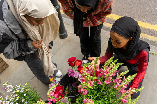 Free Immigration Images – Browse 635 Free Stock Photos, Vectors, and ...