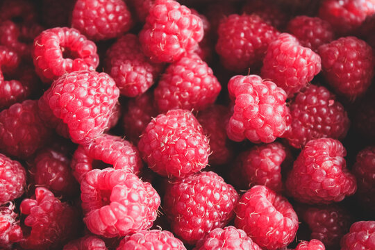 "Raspberry Background" Images – Browse 304 Stock Photos, Vectors, and ...