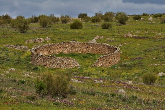 Sheepfold 이미지 – 찾아보기 7,484 스톡 사진, 벡터 및 비디오 | Adobe Stock