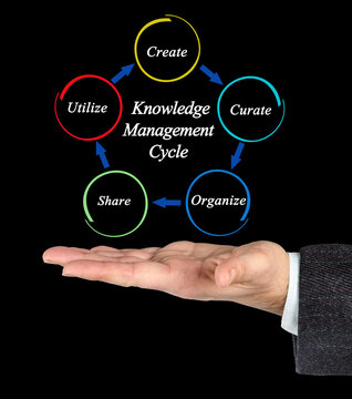 "Knowledge Management" Images – Browse 1,985 Stock Photos, Vectors, and ...