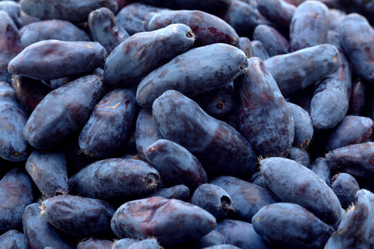 รูปภาพKinnip – เลือกดูภาพถ่ายสต็อก เวกเตอร์ และวิดีโอ3,266 | Adobe Stock