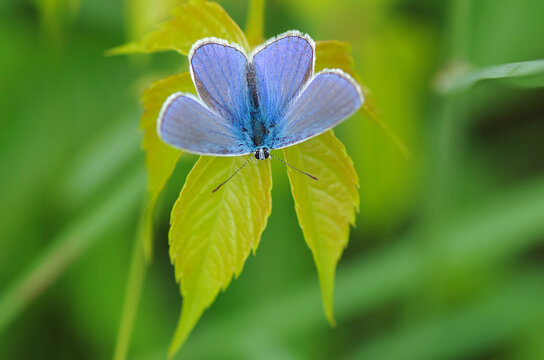รูปภาพBlue(Bruise) – เลือกดูภาพถ่ายสต็อก เวกเตอร์ และวิดีโอ3,789 ...