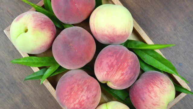 "Pink Peach" Images – Browse 567 Stock Photos, Vectors, and Video ...