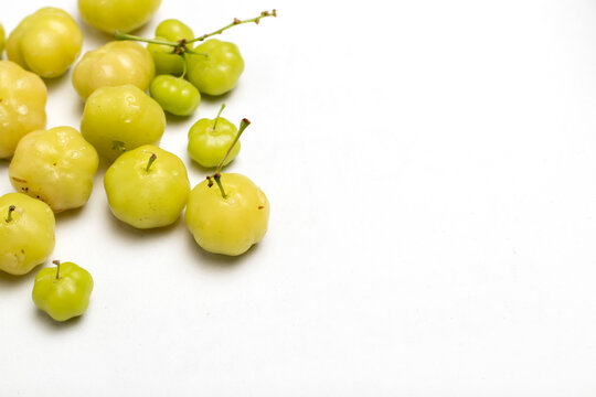 Orboroi Images – Browse 52 Stock Photos, Vectors, and Video | Adobe Stock