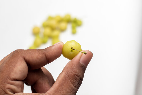 Orboroi Images – Browse 57 Stock Photos, Vectors, and Video | Adobe Stock