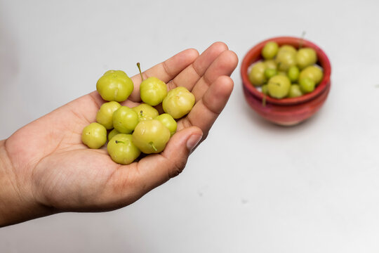 Orboroi Images – Browse 57 Stock Photos, Vectors, and Video | Adobe Stock