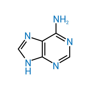 Ade bilder – Bläddra bland 1,546 stockfoton, vektorer och videor ...