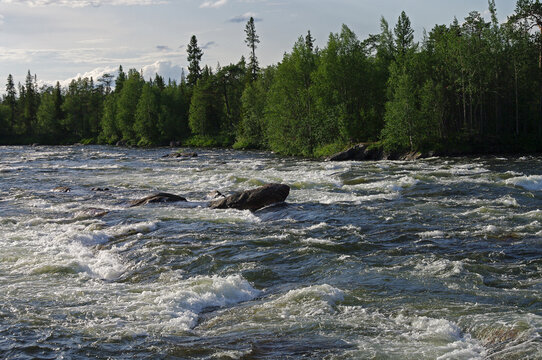 Umba Images – Browse 231 Stock Photos, Vectors, and Video | Adobe Stock