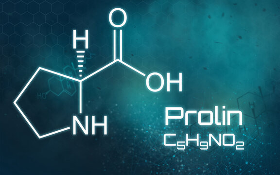 Prolin Bilder – Durchsuchen 46 Archivfotos, Vektorgrafiken und Videos ...
