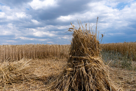 Binding Together Bilder – Durchsuchen 5,973 Archivfotos, Vektorgrafiken ...