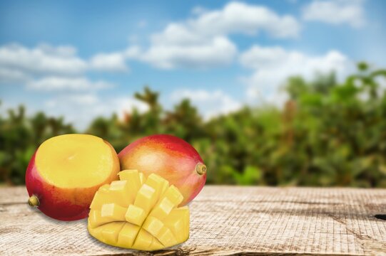 "Alphonso Mango" Images – Browse 710 Stock Photos, Vectors, and Video ...