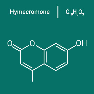 รูปภาพCholeretic – เลือกดูภาพถ่ายสต็อก เวกเตอร์ และวิดีโอ467 | Adobe Stock