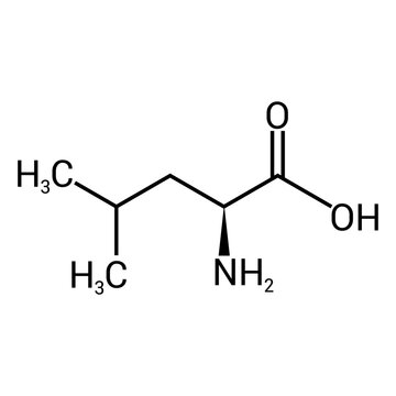 Leucine Structure