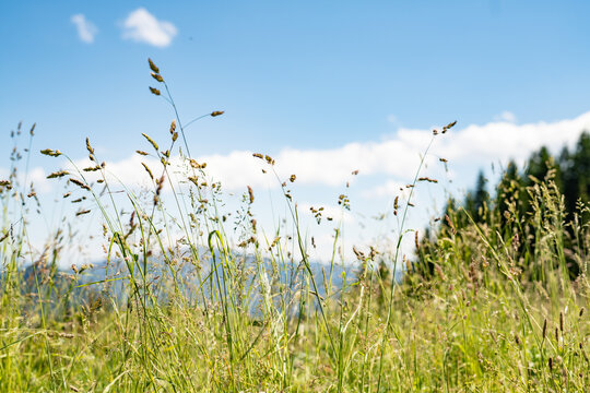 รูปภาพBergig – เลือกดูภาพถ่ายสต็อก เวกเตอร์ และวิดีโอ5,247 | Adobe Stock
