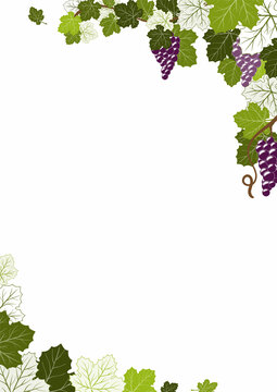 Grape Frame Images – Browse 50,103 Stock Photos, Vectors, and Video ...