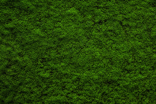 Moss Background Images – Browse 451,553 Stock Photos, Vectors, and ...