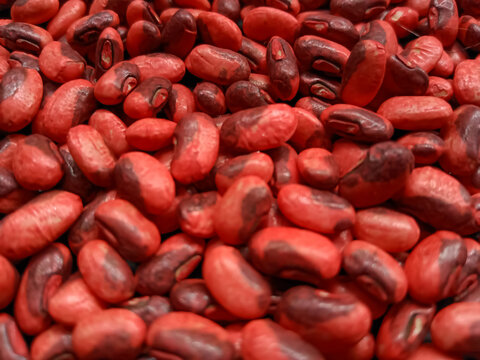 Lobia Images – Parcourir 542 le catalogue de photos, vecteurs et vidéos ...