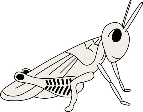 Imágenes de Chapulin: descubre bancos de fotos, ilustraciones, vectores ...