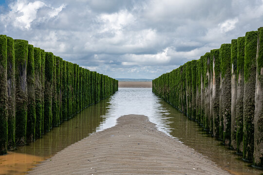 รูปภาพBuhlen – เลือกดูภาพถ่ายสต็อก เวกเตอร์ และวิดีโอ115 | Adobe Stock