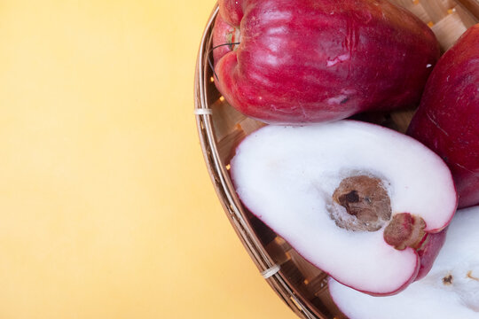 รูปภาพPomerac – เลือกดูภาพถ่ายสต็อก เวกเตอร์ และวิดีโอ137 | Adobe Stock