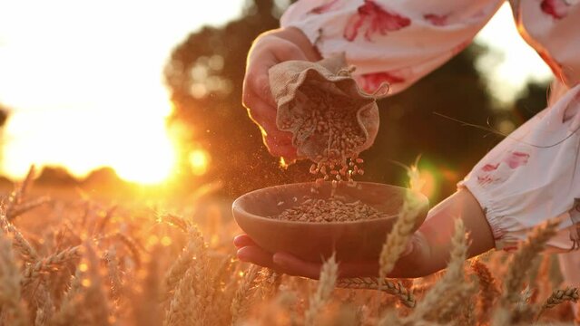 Wheat And Chaff Images – Browse 4,217 Stock Photos, Vectors, and Video ...